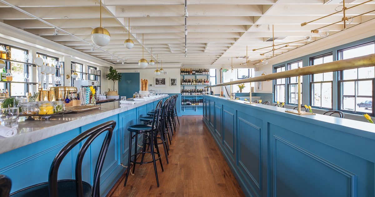 Sea Creatures – Transom